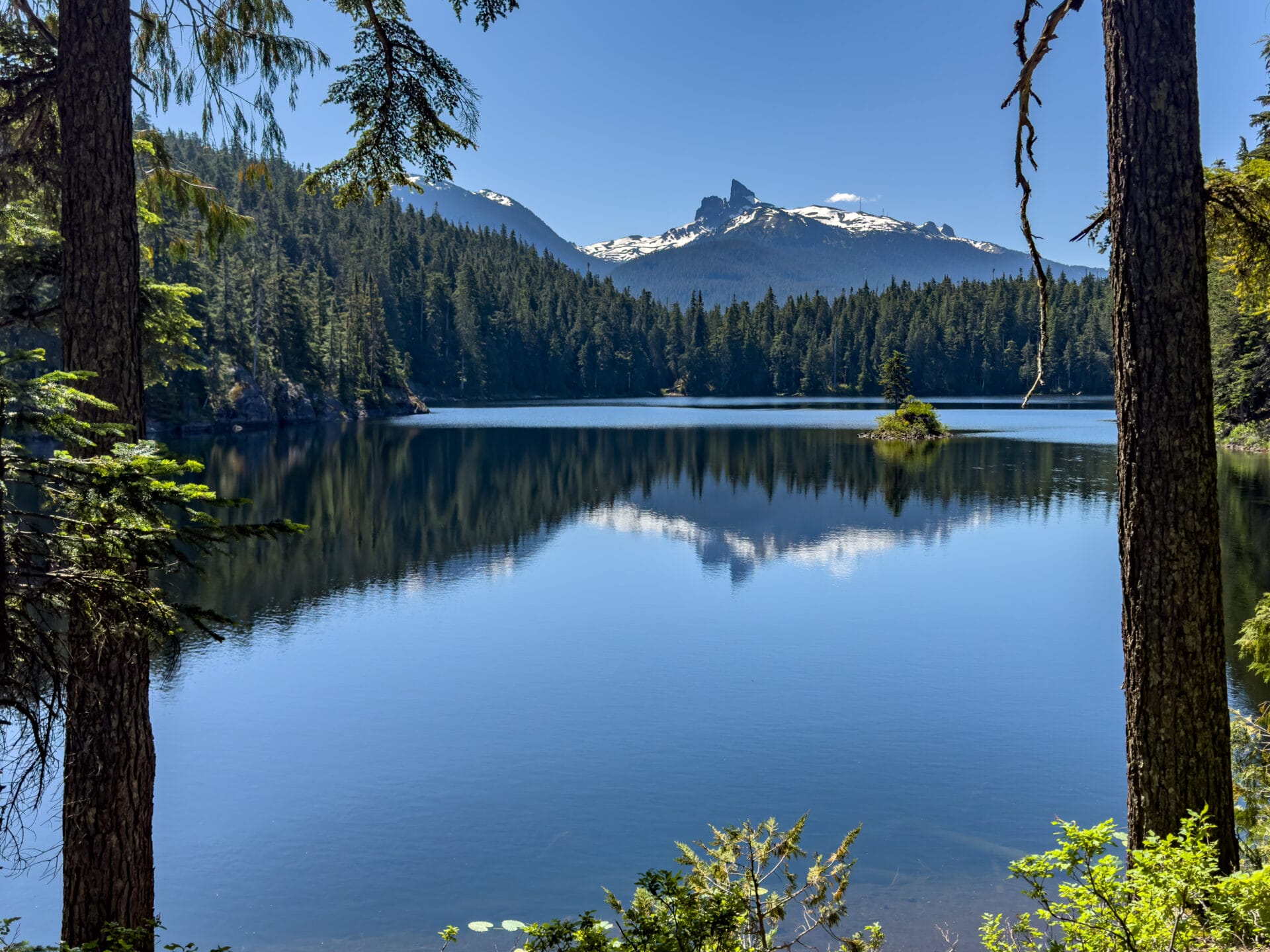 News | Mapping Whistler’s most sensitive ecosystems, 2025 capital ...